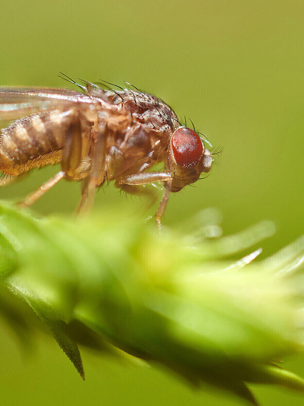 Services | Droneability